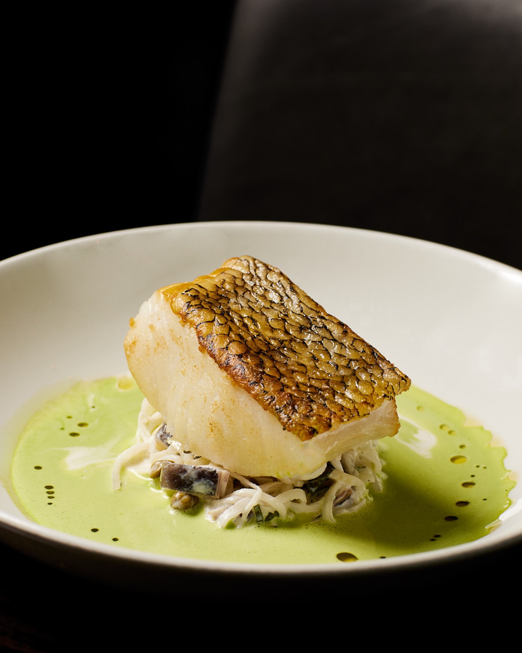 The Atlantic Glacier 51 Toothfish